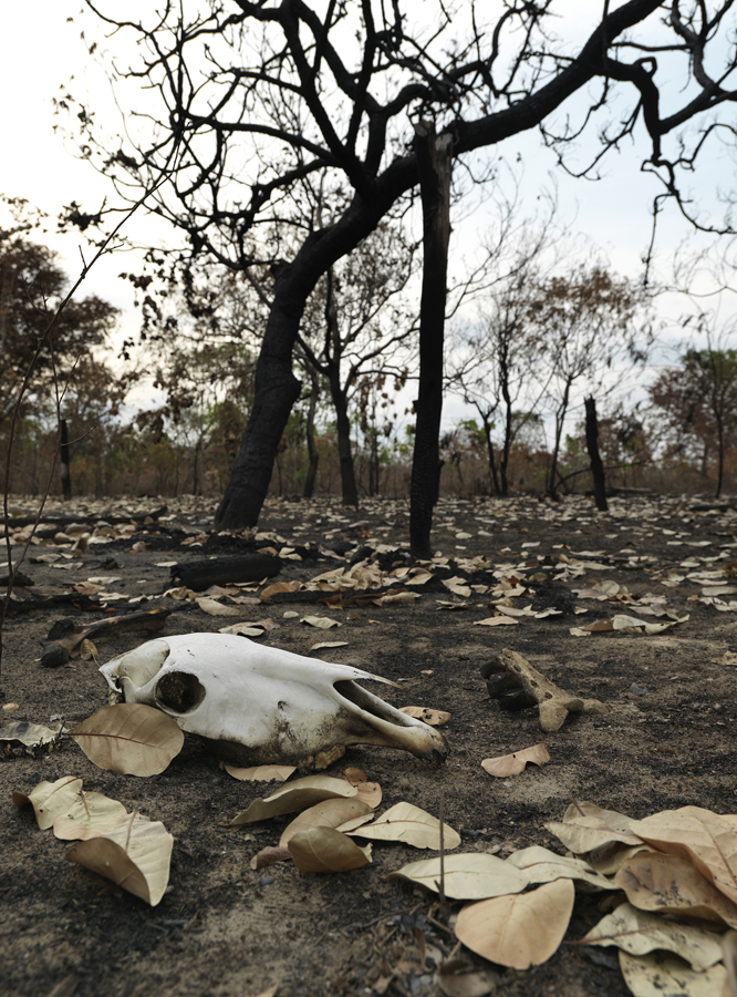 Frontiers and Transformation – Peter Caton