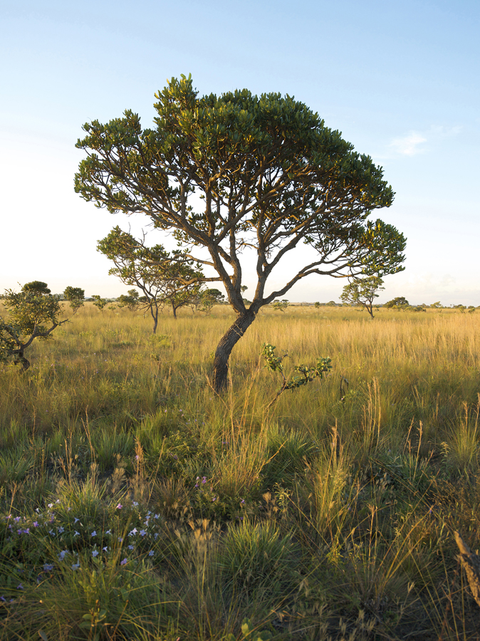 Frontiers and Transformation – Peter Caton