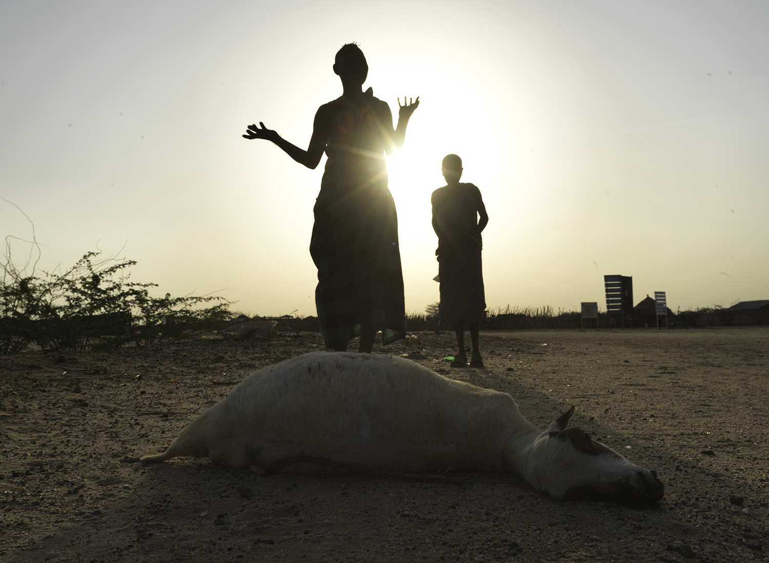 Peter Caton – Documentary Photographer